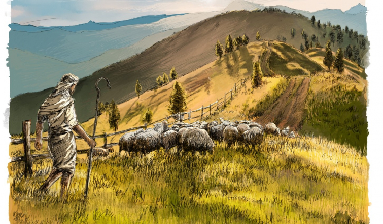 De Goede Herder: Vaak leidt God ons via een omweg in de goede richting ...