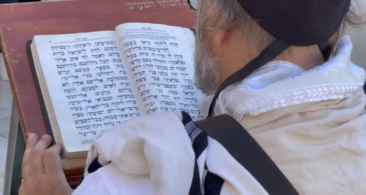 Video: Wilkin van de Kamp ziet biddende Joden bij de Klaagmuur ...