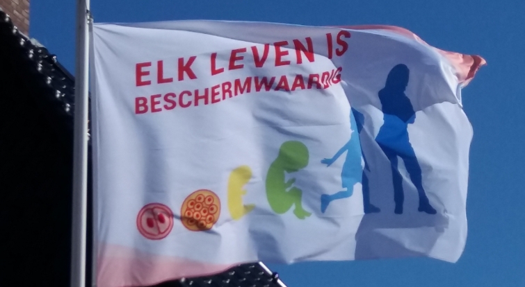 Tim Hofman met 'Boos' op bezoek bij Schreeuw om Leven - Cvandaag.nl