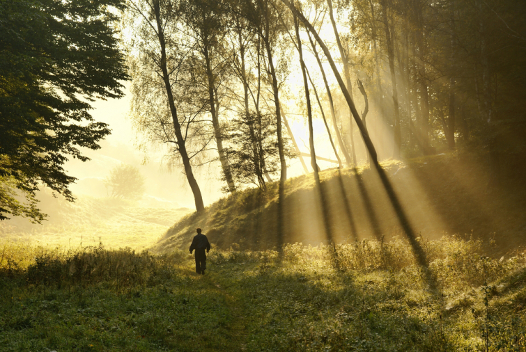 Terugkijken: Bijbeldebat over schepping en duurzaamheid - Cvandaag.nl